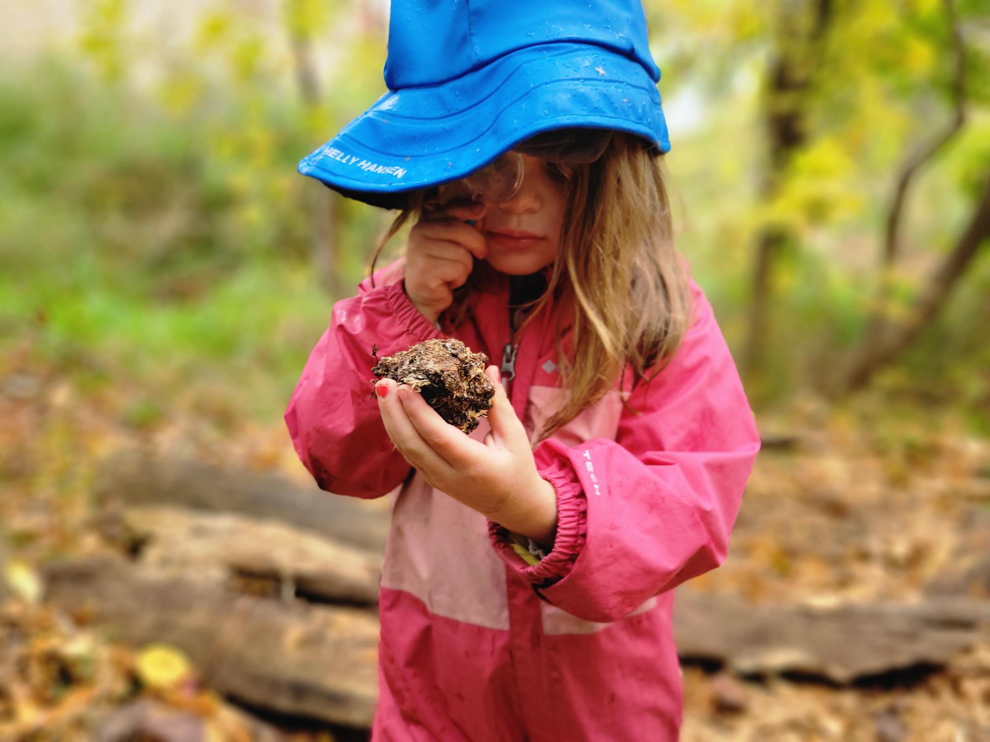 Preschool Form Confirmation | Dodge Nature Center