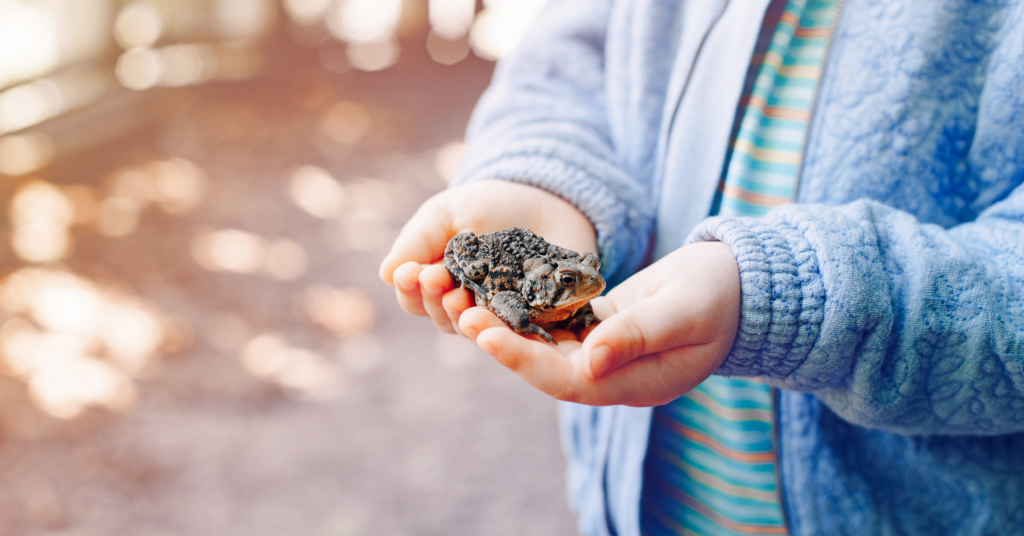 Spring Break Camp 2024: Animals Around Us Dodge Nature Center
