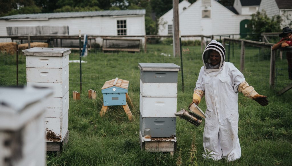 Intro to Beekeeping Program Payment | Dodge Nature Center Intro to Beekeeping Program Payment | Dodge Nature Center