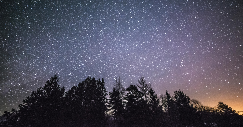 Nature After Dinner: Seeing Stars Dodge Nature Center
