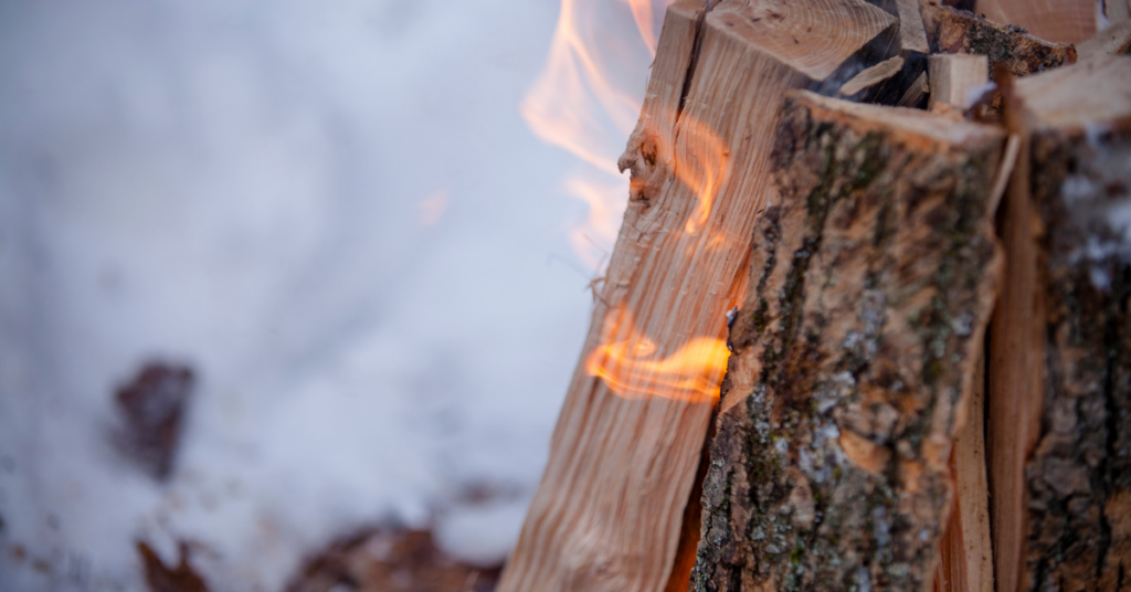Winter Solstice Bonfire Dodge Nature Center