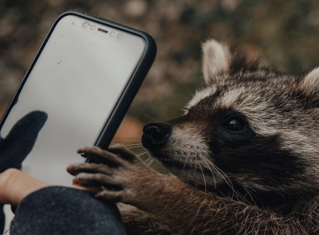 Dodge Nature Center | Nourish Your Need For Nature