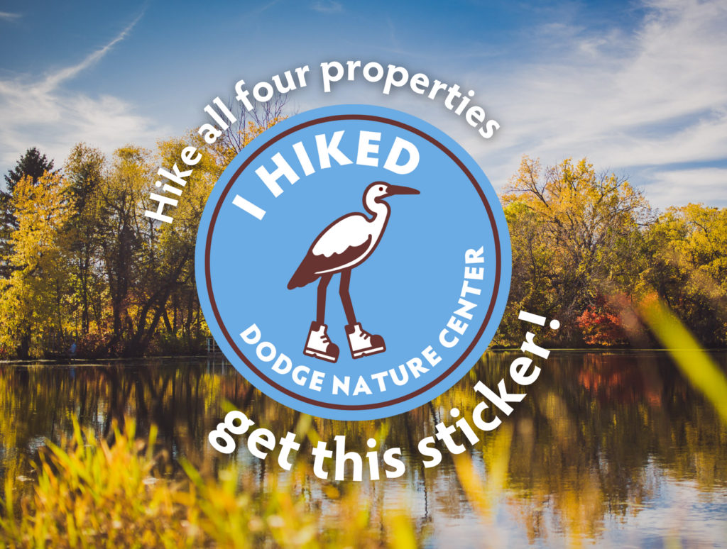 Dodge Nature Center | Nourish Your Need For Nature