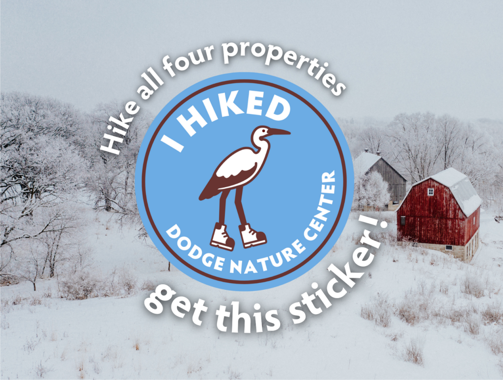 Dodge Nature Center | Nourish Your Need For Nature