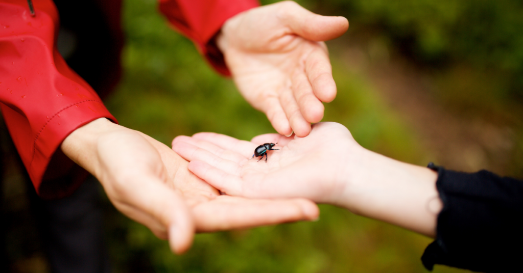 Incredible Insects Dodge Nature Center