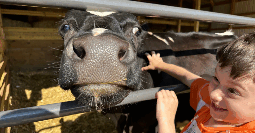 Animals of Shepard Farm Dodge Nature Center