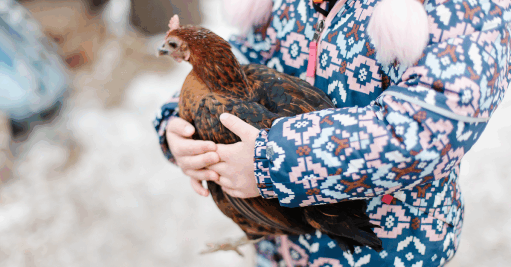 Nature Tots: Winter Fun (Thursday Morning Series) Dodge Nature Center